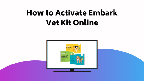 How to Activate Embark Vet Kit Online | HackerzTrickz